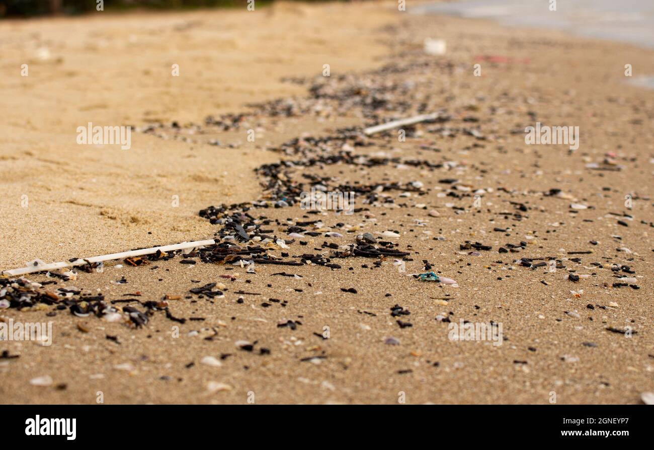 Surface of line shells and pebbles on the beach Stock Photo - Alamy