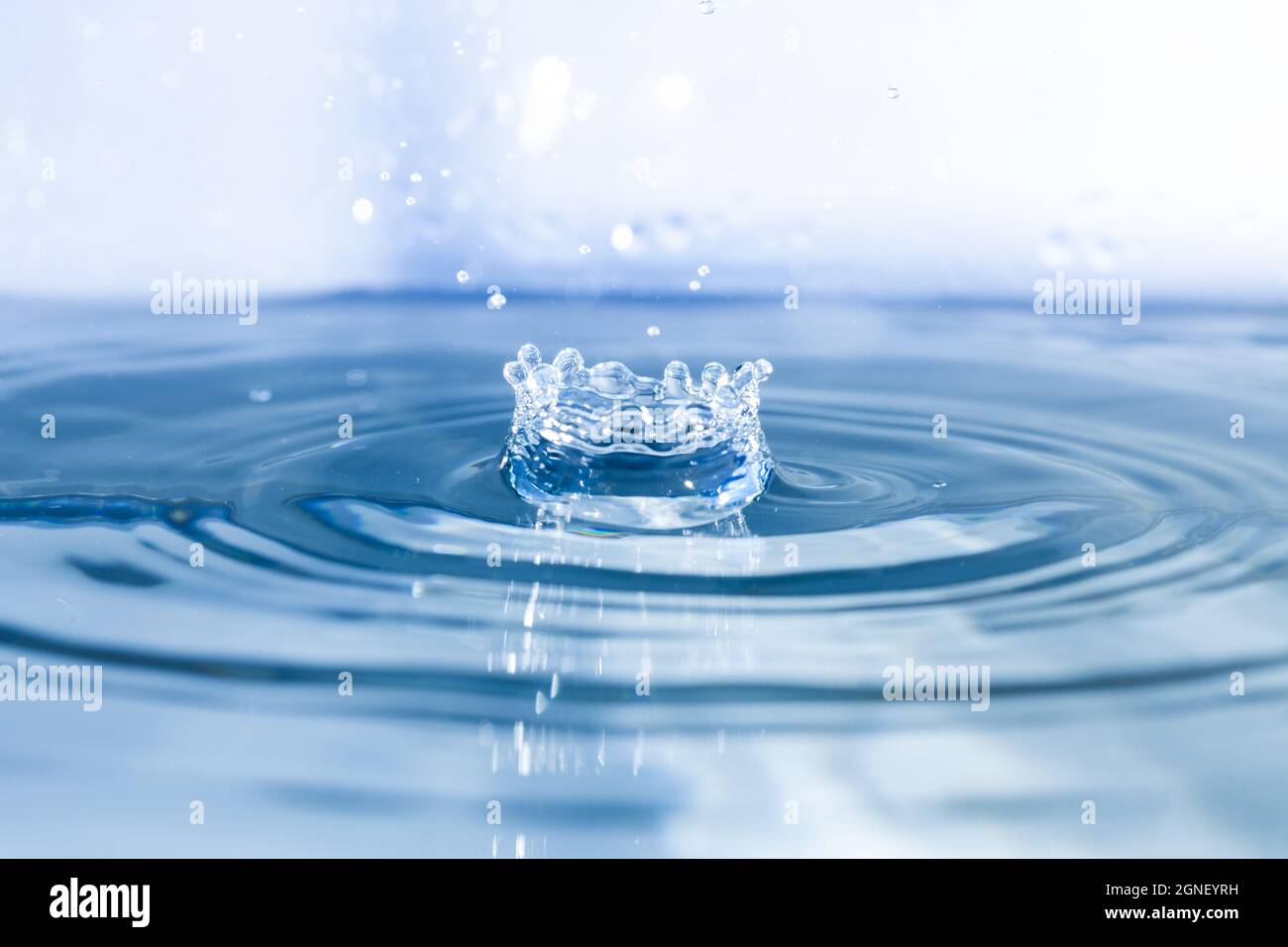 drop water falling. High quality and resolution beautiful photo concept ...