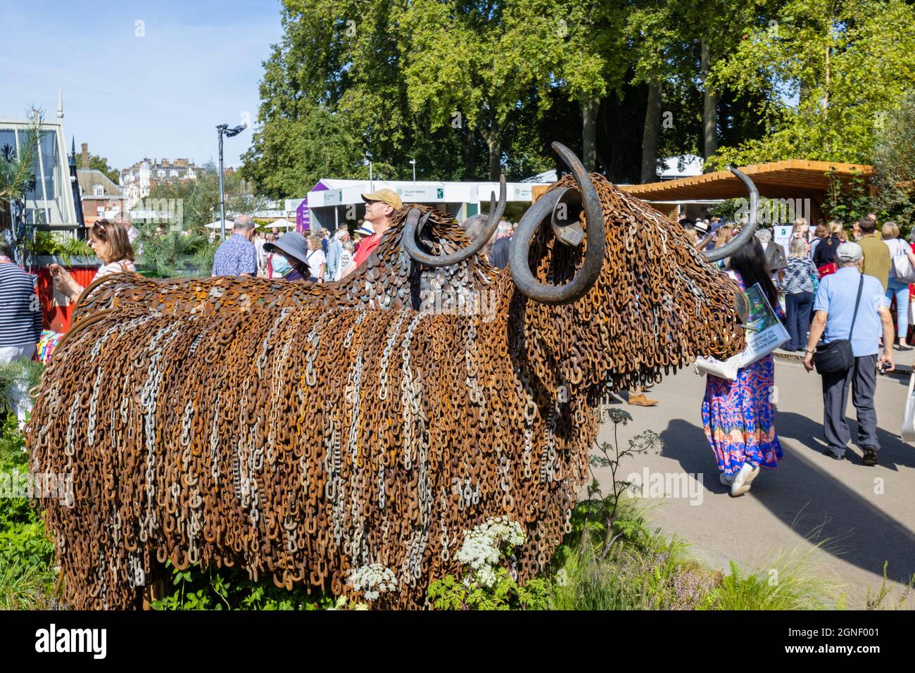 Metal animal sculptures, chain link highland cattle by ArtFe blacksmith ...