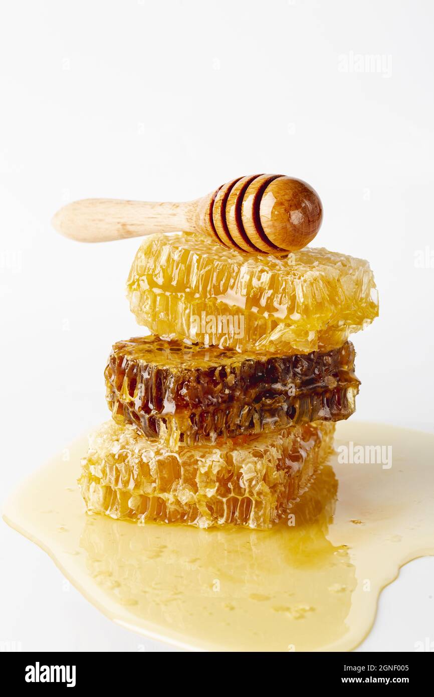 High resolution bee photo hi-res stock photography and images - Alamy