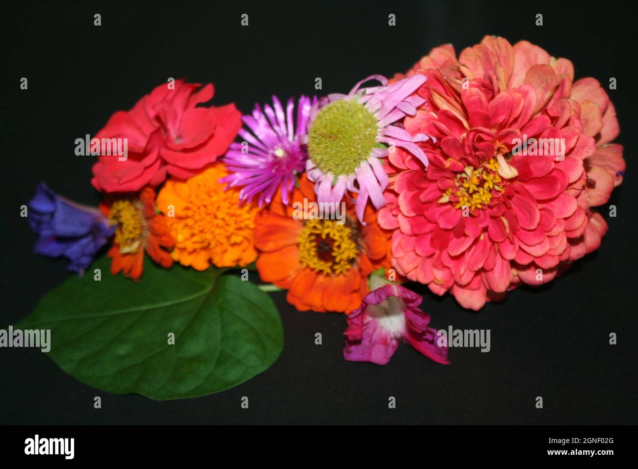 Indian sumer hi-res stock photography and images - Alamy