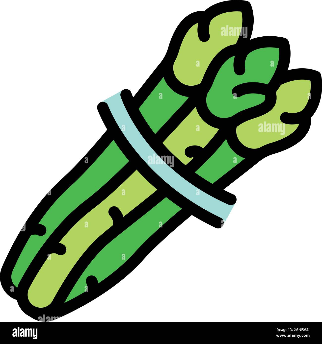 Asparagus icon. Outline asparagus vector icon color flat isolated Stock ...