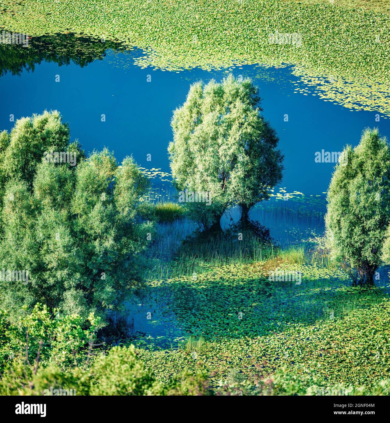 Aerial view of Canyon of Rijeka Crnojevica river, Skadar lake lacation. Colorful summer scene of ...