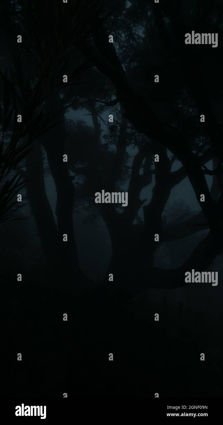 Silhouette of tree in the dark forest Stock Photo - Alamy