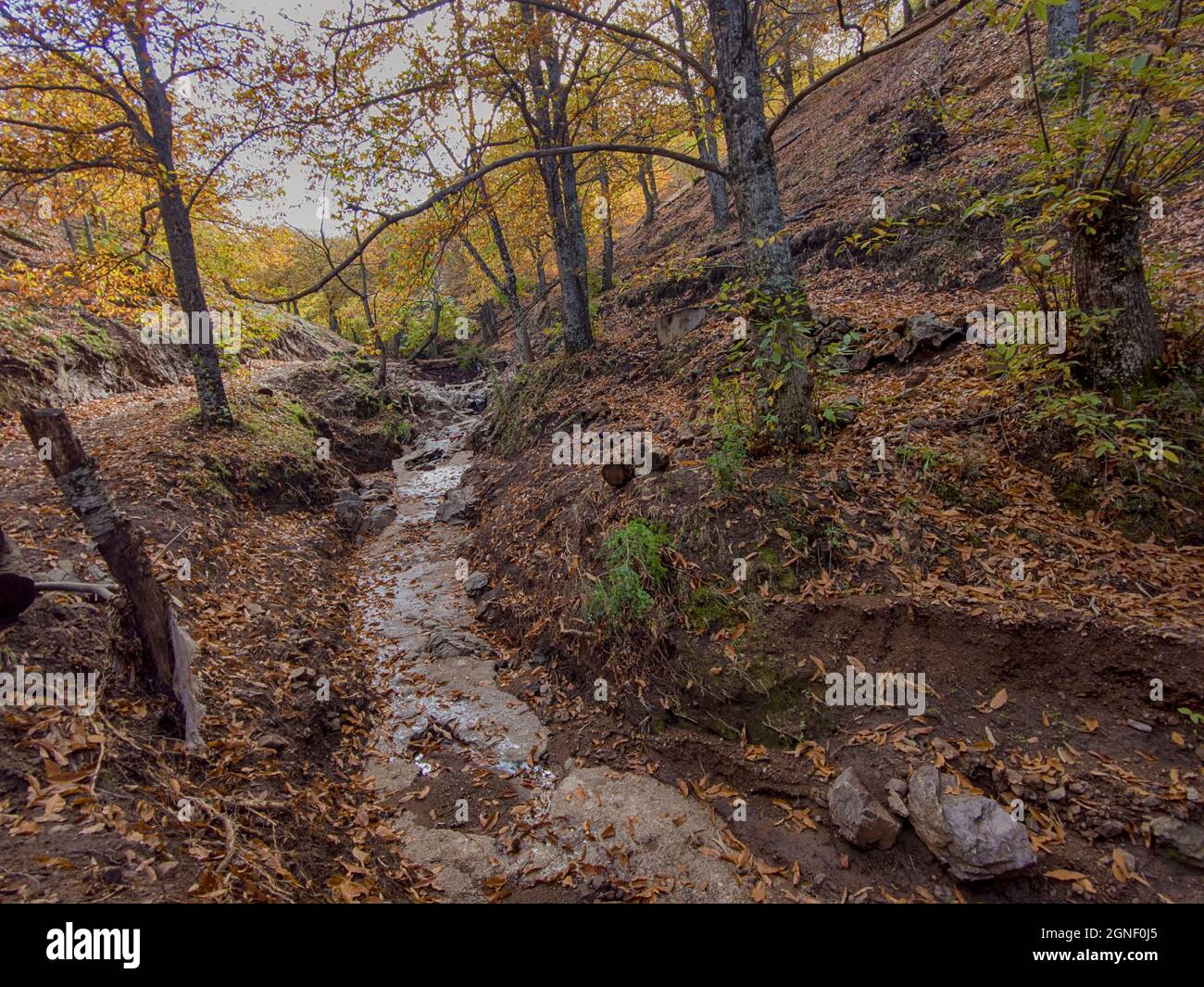the colour of autumn in the genal valley, Andalusia Stock Photo - Alamy