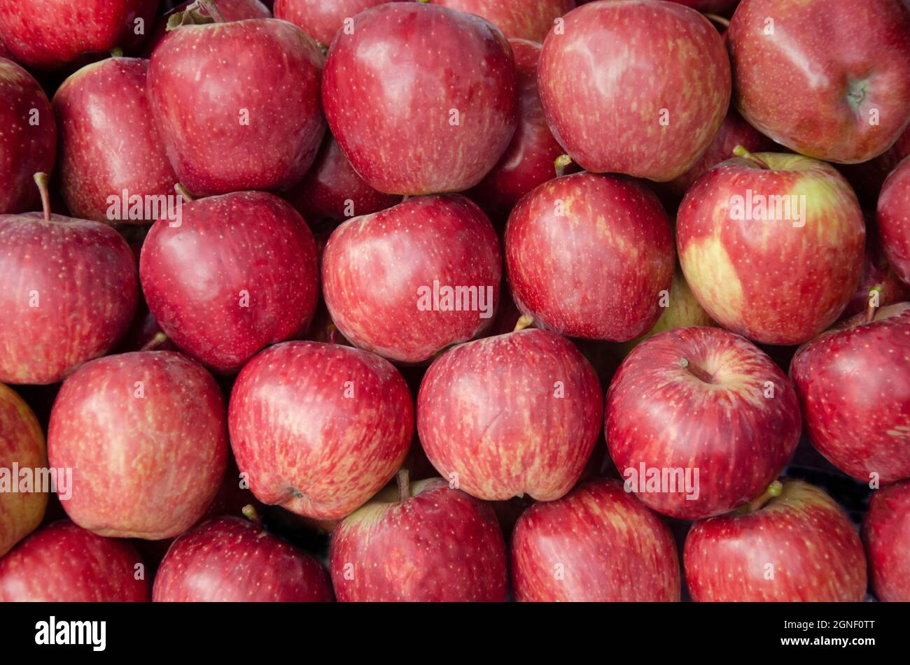 Fresh Red apples in rows for texture or background Stock Photo - Alamy