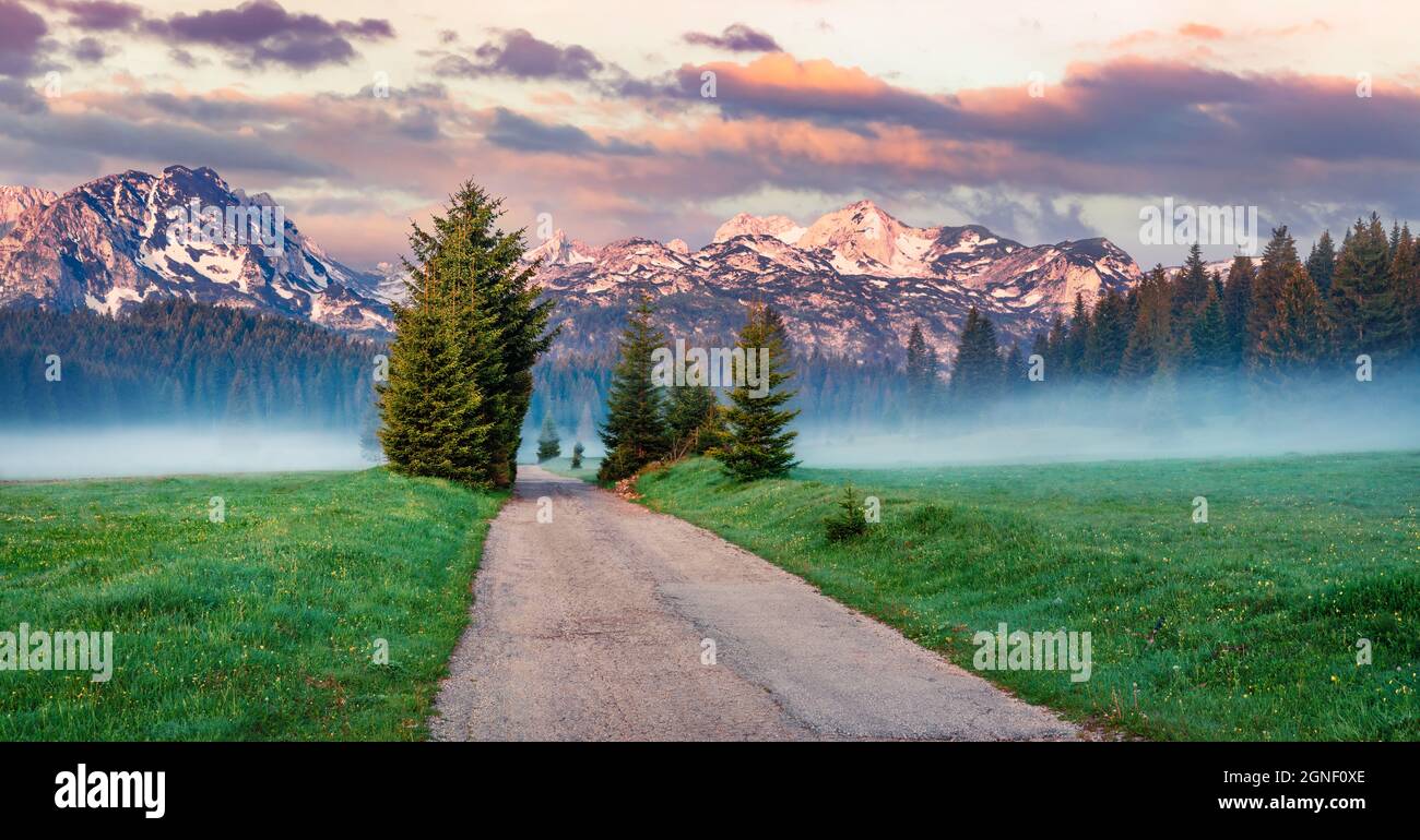 Panoramic summer sunrise in Durmitor Nacionalni Park. Attractive foggy ...
