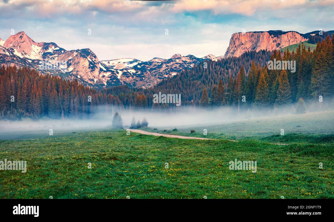 Breathtaking summer sunrise in Durmitor Nacionalni Park. Wonderful ...