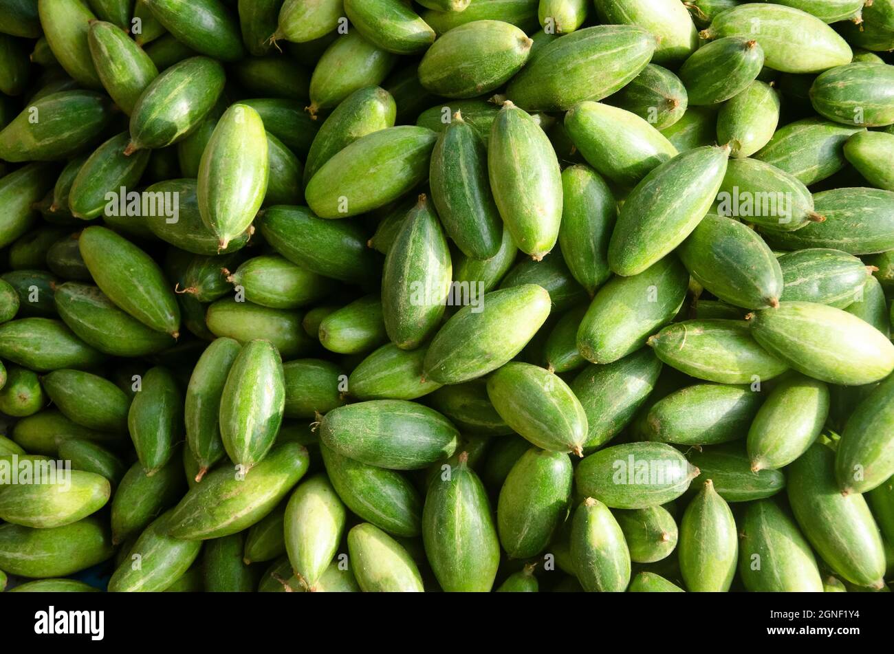 Green pointed gourds vegetable. Also uses for background or texture ...
