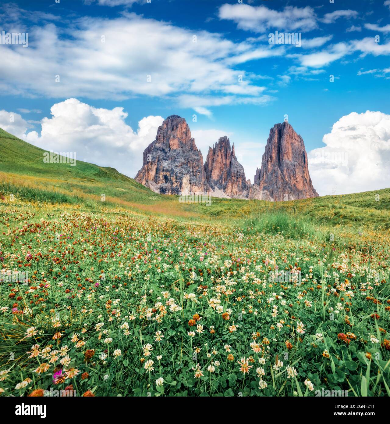 Colorful morning view from Sella pass of Sassolungo and Sella mountain ...