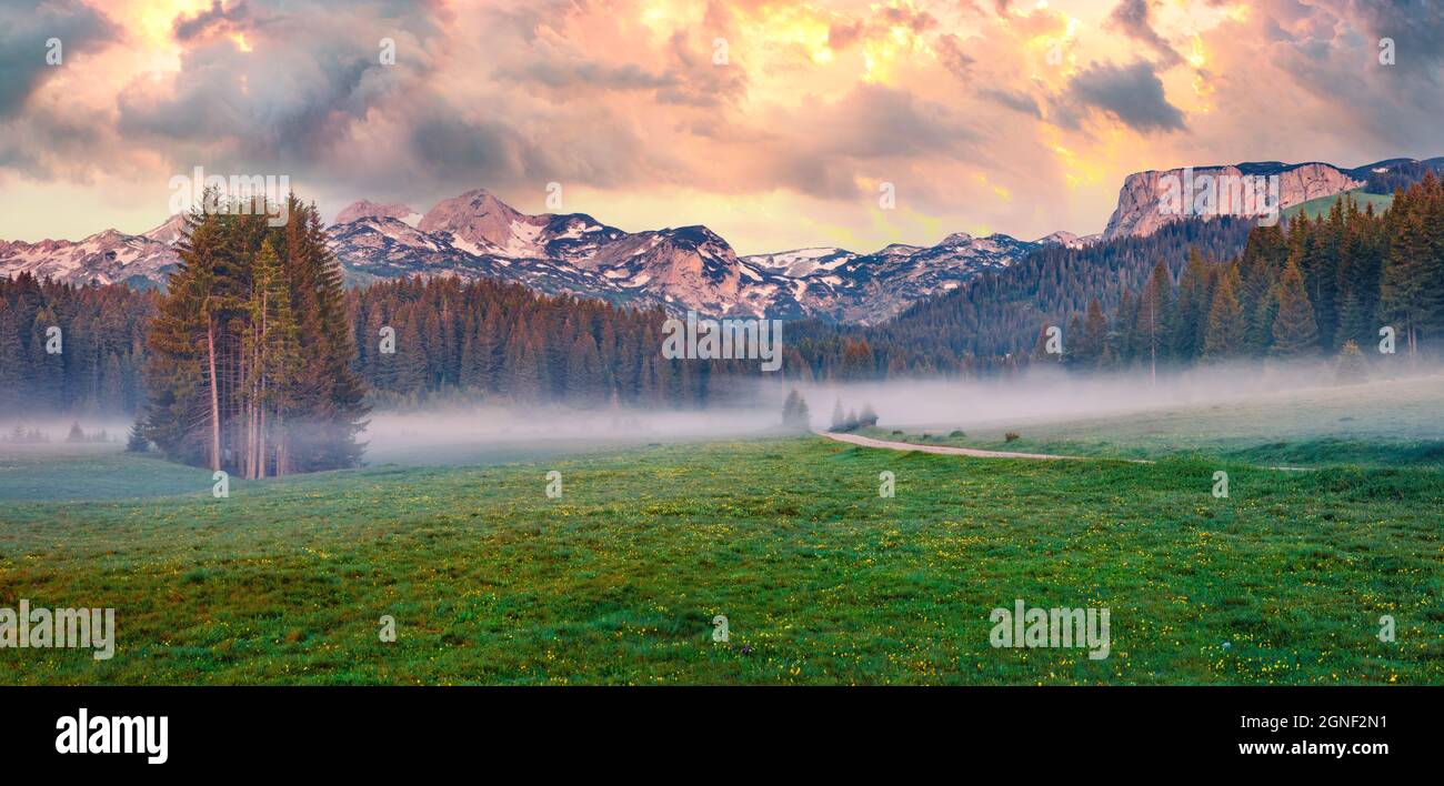 Panoramic summer sunrise scene of Durmitor Nacionalni Park. Dramatic ...