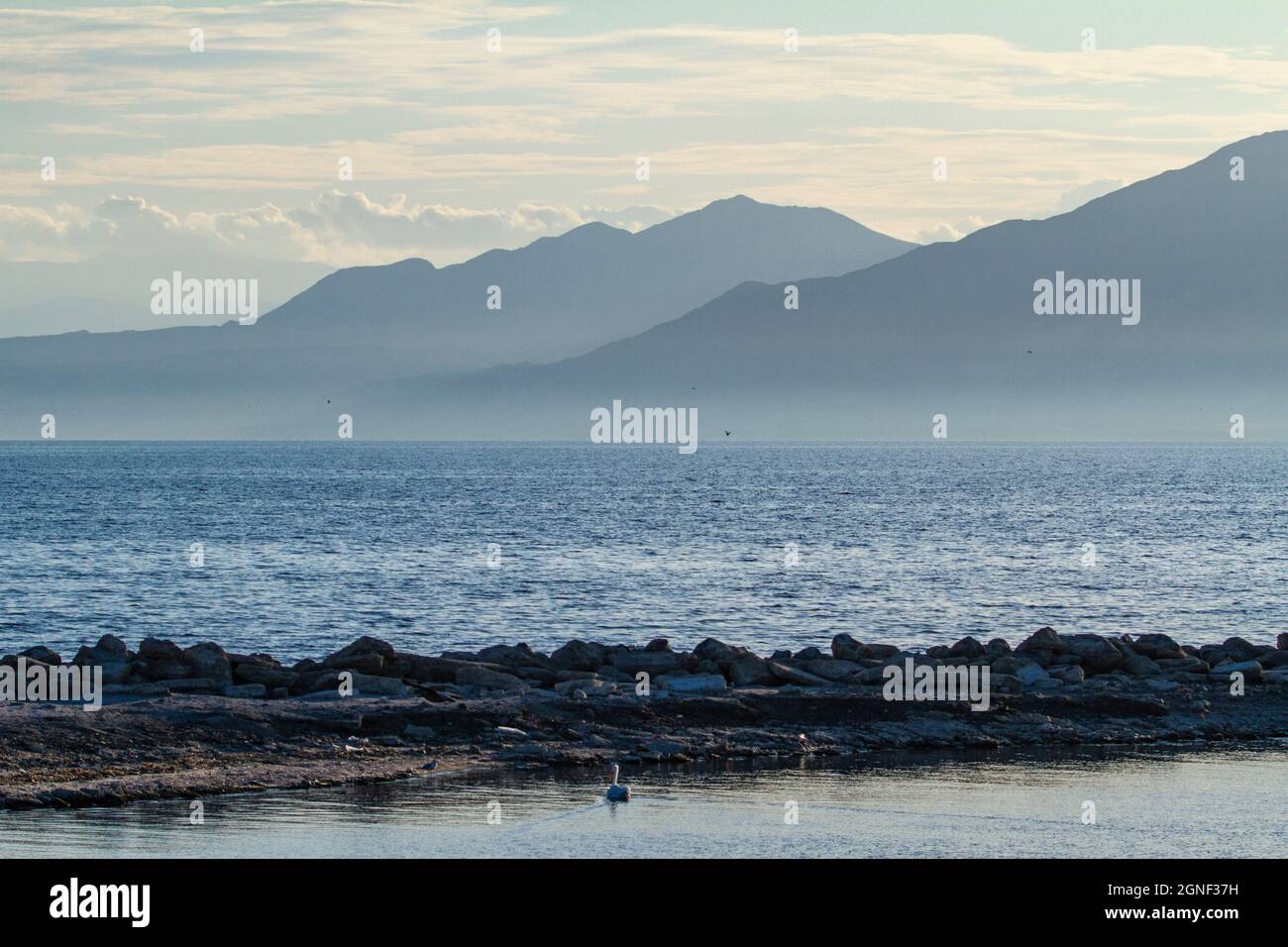 The rise and fall of the Salton Sea - a unique ecosystem in southern ...