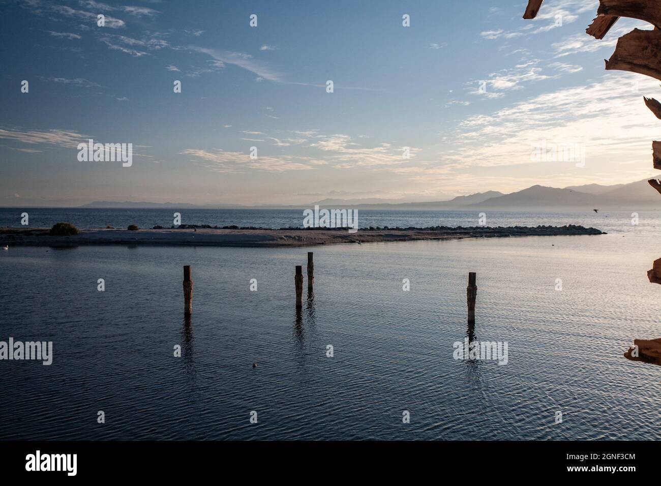 The rise and fall of the Salton Sea - a unique ecosystem in southern ...