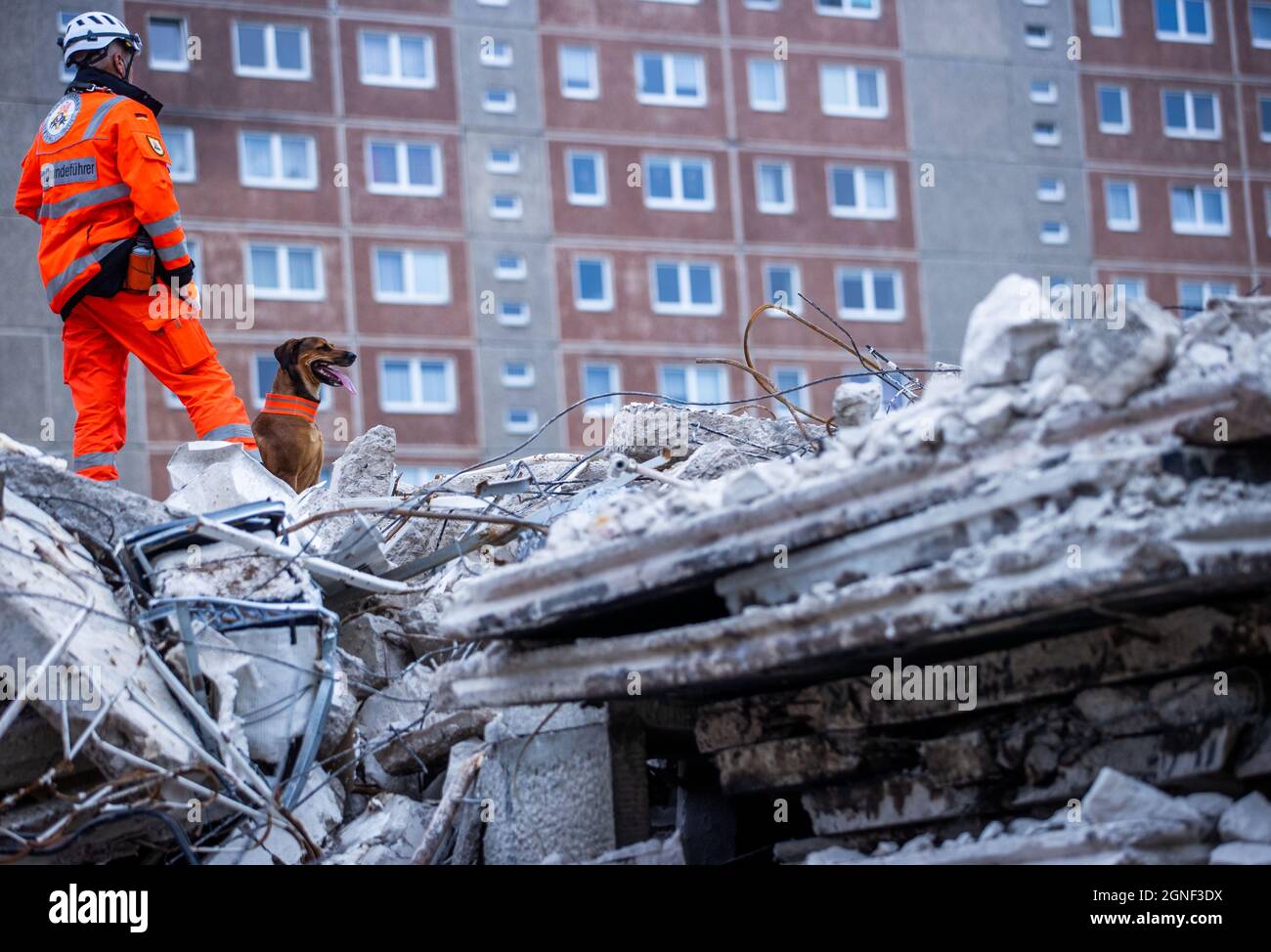 25 September 2021, Mecklenburg-Western Pomerania, Schwerin: Search dog ...