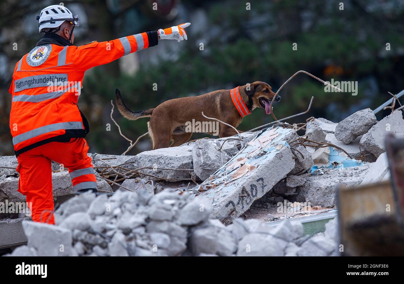 25 September 2021, Mecklenburg-Western Pomerania, Schwerin: Search dog ...