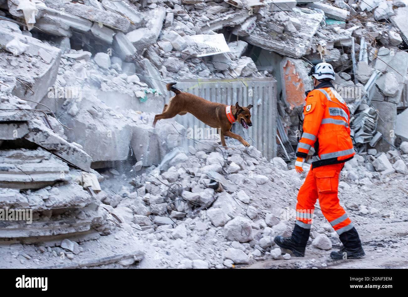 25 September 2021, Mecklenburg-Western Pomerania, Schwerin: Search dog ...