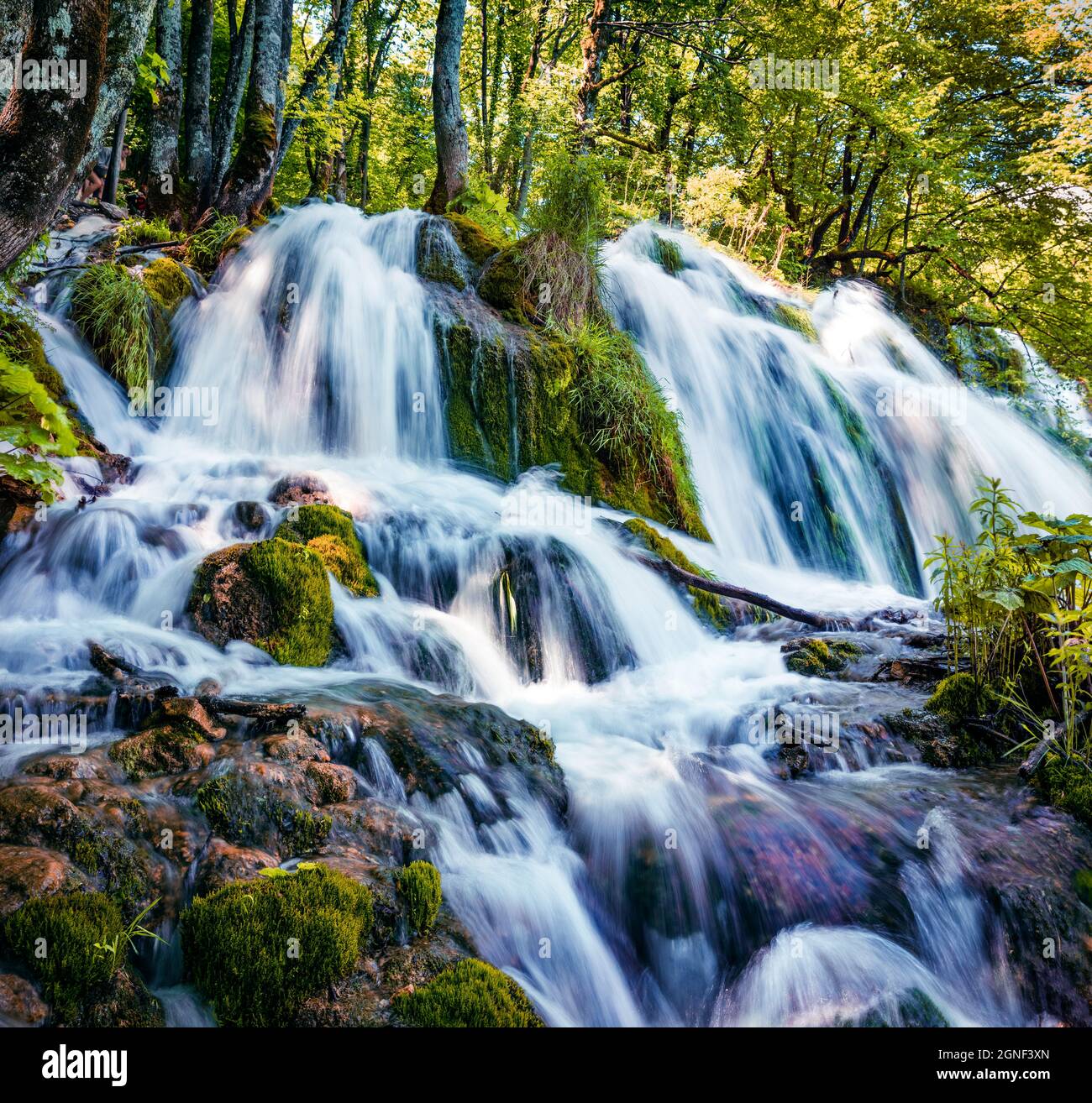 Colorful morning view pure hi-res stock photography and images - Alamy