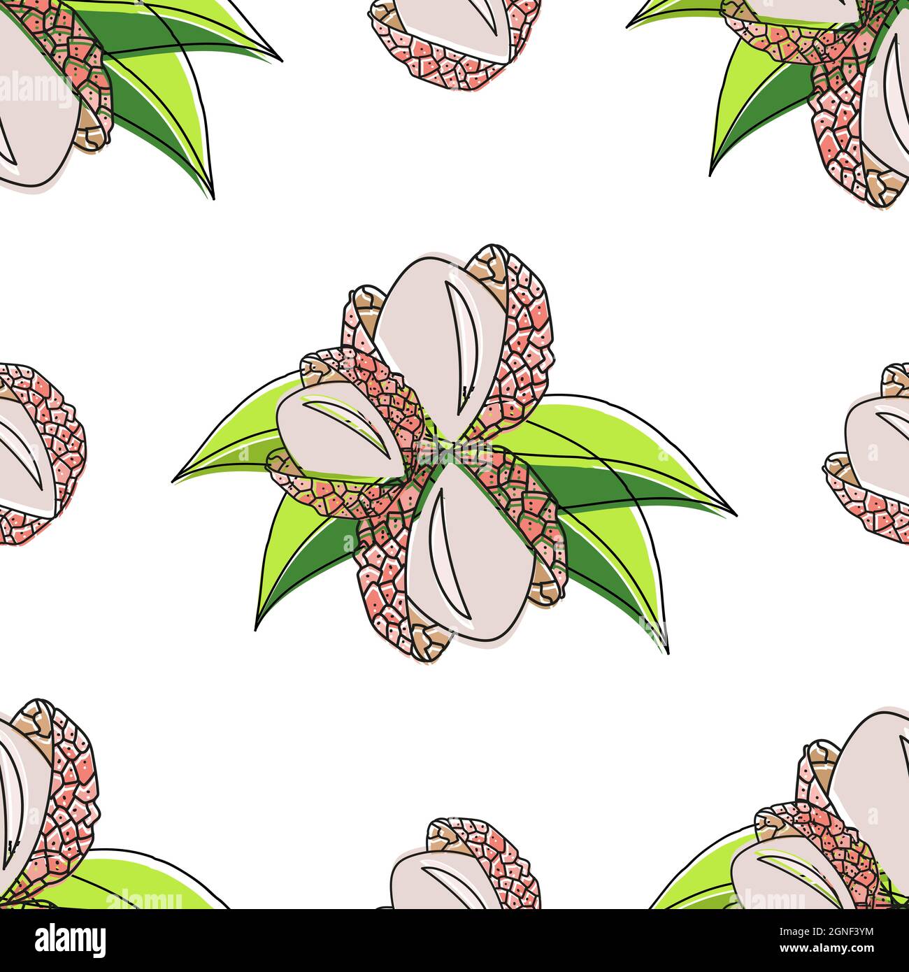 Seamless pattern with lychee and leaves on a white background Stock ...
