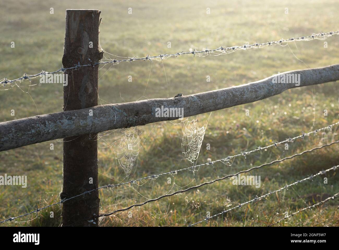 Spider village hi-res stock photography and images - Alamy
