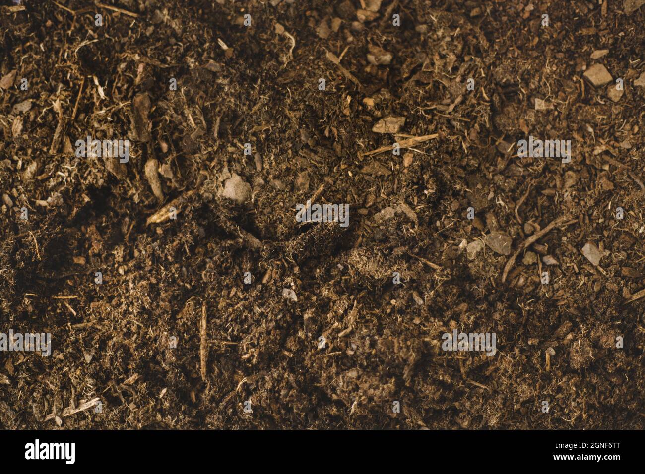 gardening soil. High quality and resolution beautiful photo concept ...