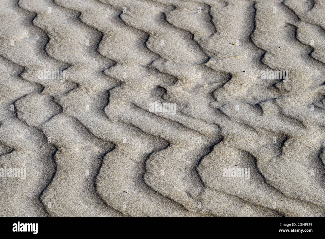 Sand particles grains of sand hi-res stock photography and images - Alamy