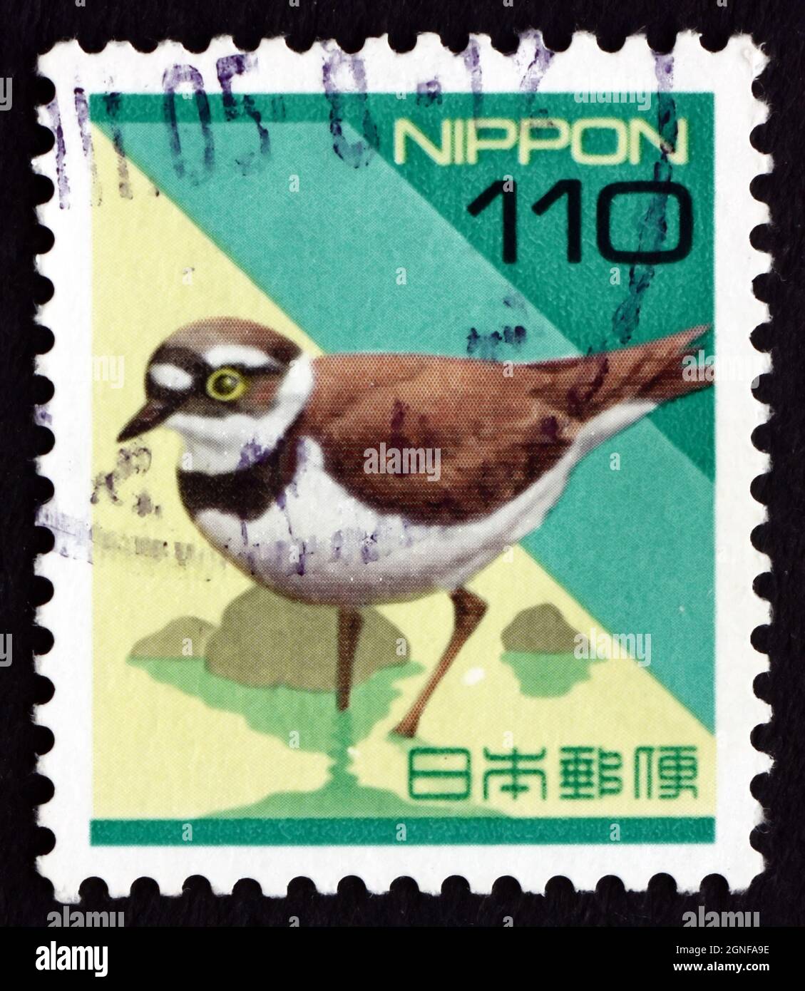 JAPAN - CIRCA 1995 a stamp printed in the Japan shows Plover ...