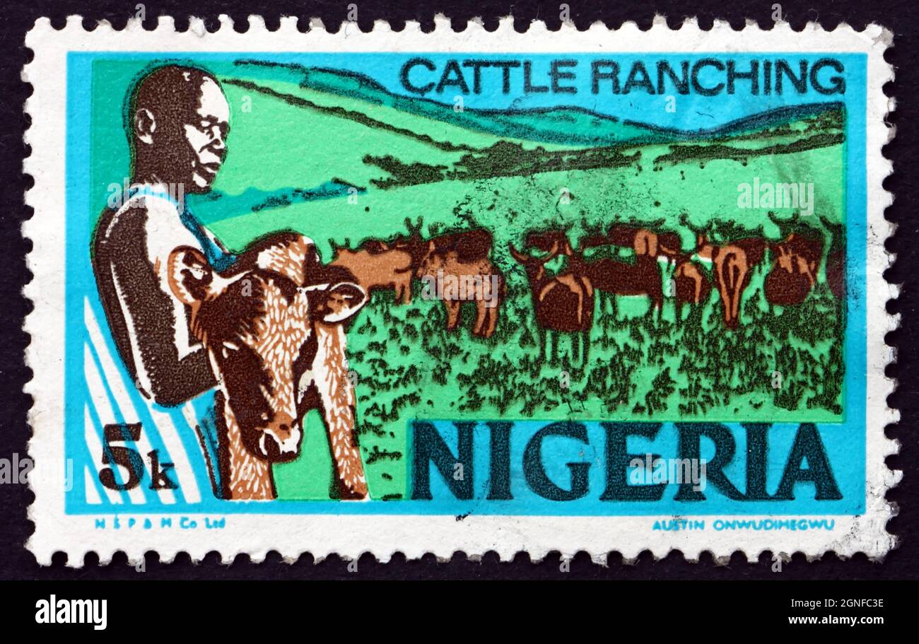 NIGERIA - CIRCA 1974: a stamp printed in Nigeria shows Cattle Ranching, circa 1974 Stock Photo ...