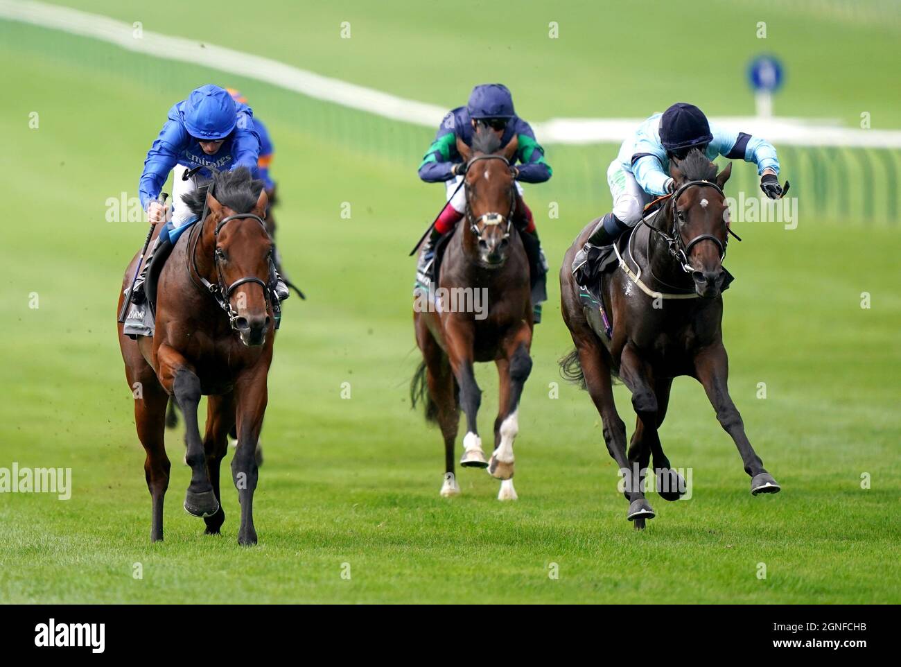 Royal patronage horse hi-res stock photography and images - Alamy