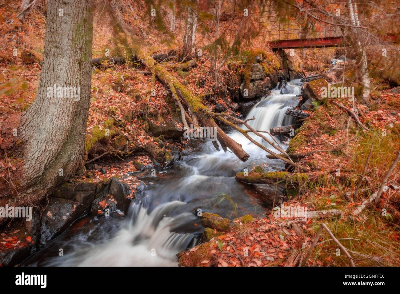 leaves, fallen trees with a waterfall, stream and autumn landscape with ...