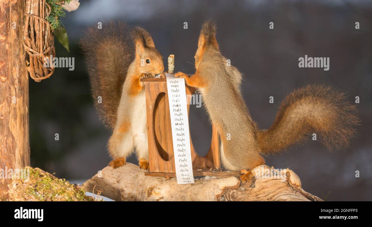 Wishing list hi-res stock photography and images - Alamy