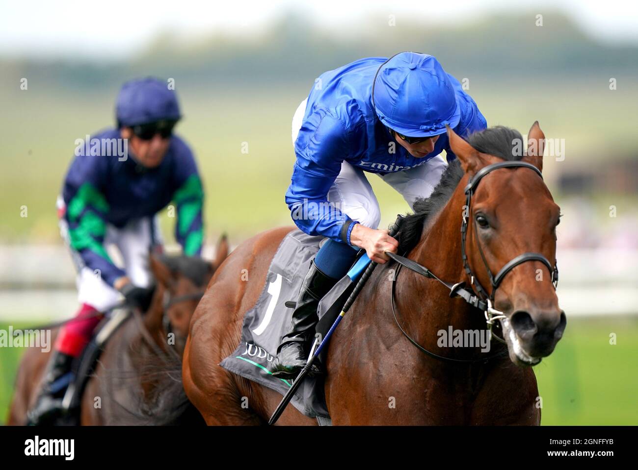 Coroebus horse hi-res stock photography and images - Alamy