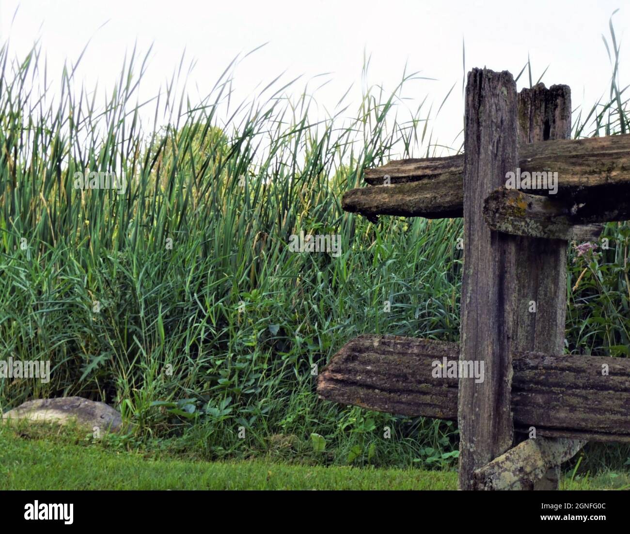 Very tall wooden fence hi-res stock photography and images - Alamy