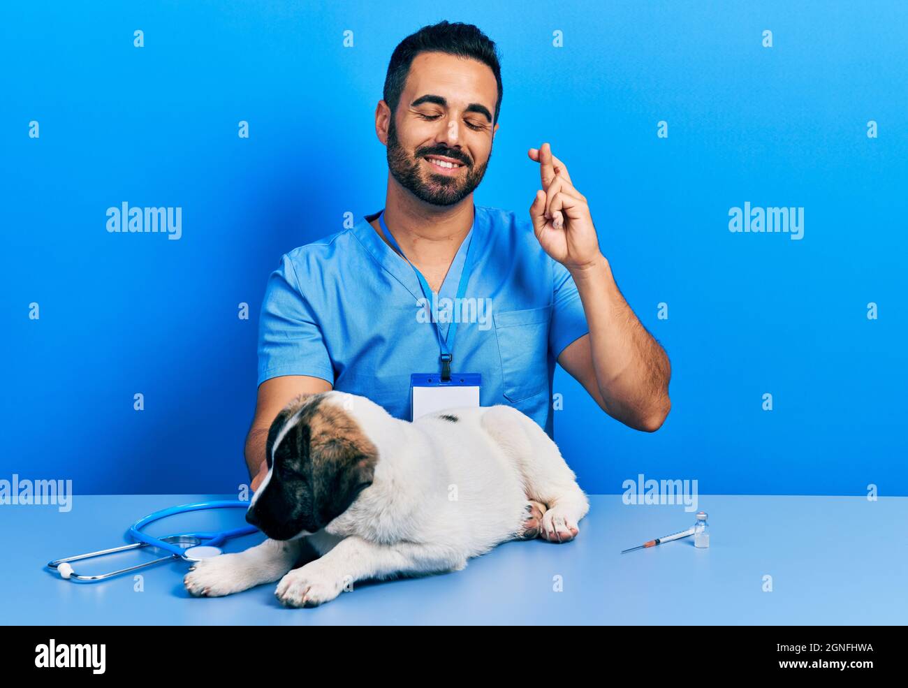 Handsome hispanic veterinary man with beard checking dog health ...
