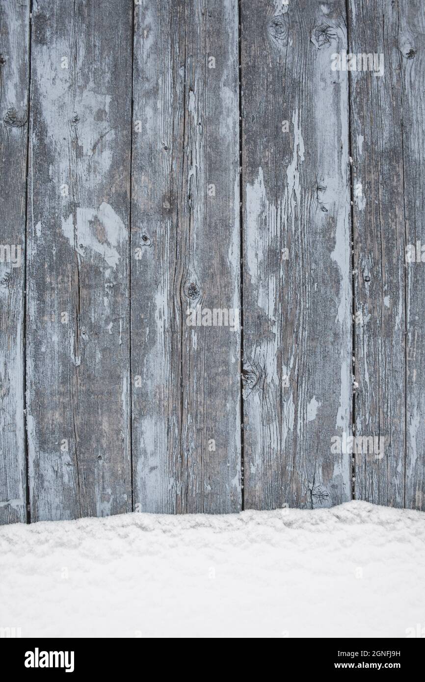 blue wood texture background with untouched snow, peeling paint on wood ...
