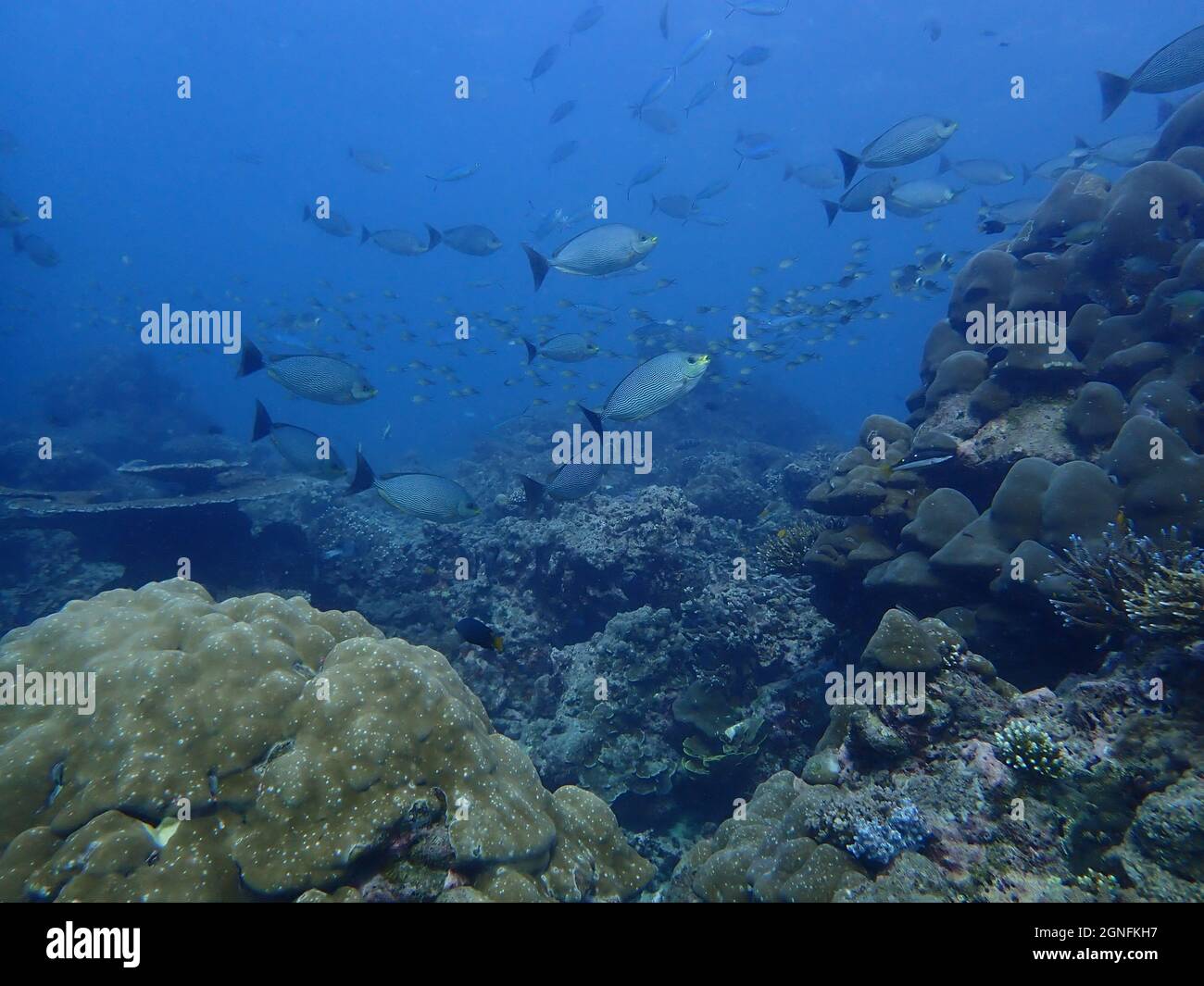 Views under the ocean Stock Photo - Alamy