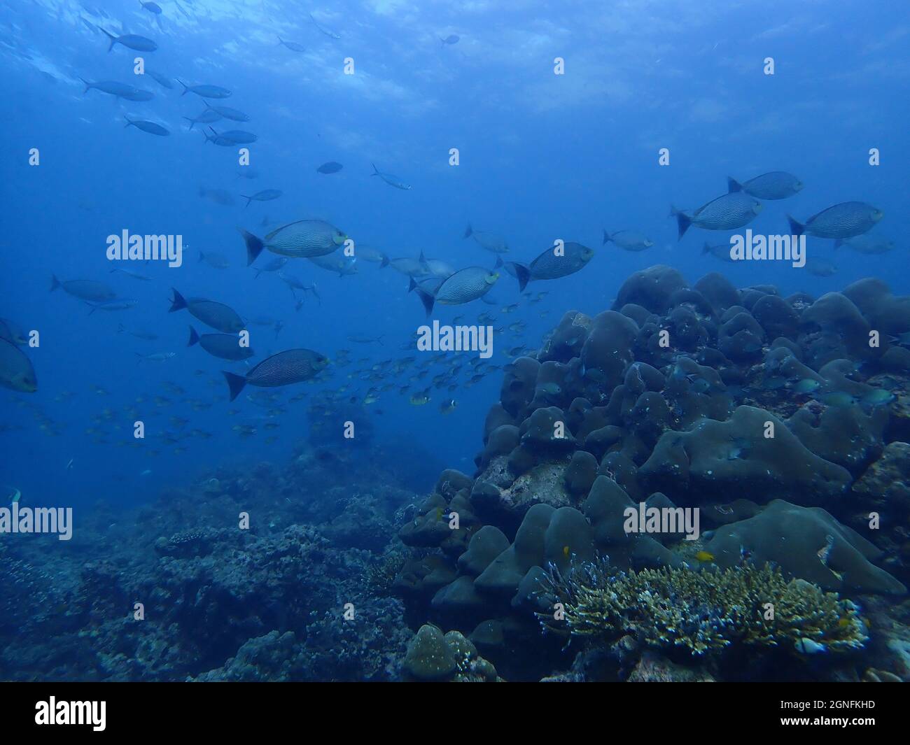 Views under the ocean Stock Photo - Alamy