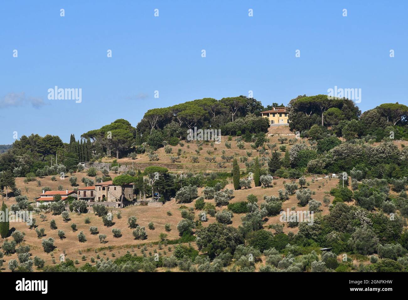 Castagneto carducci tuscany italy hi-res stock photography and images ...