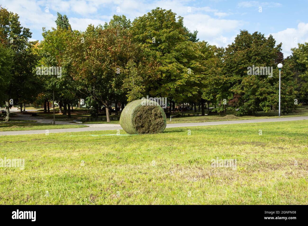 Cleaning and mowing grass in city parks. Waste disposal problem ...