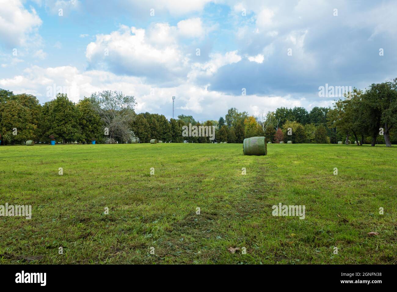 Cleaning and mowing grass in city parks. Waste disposal problem ...