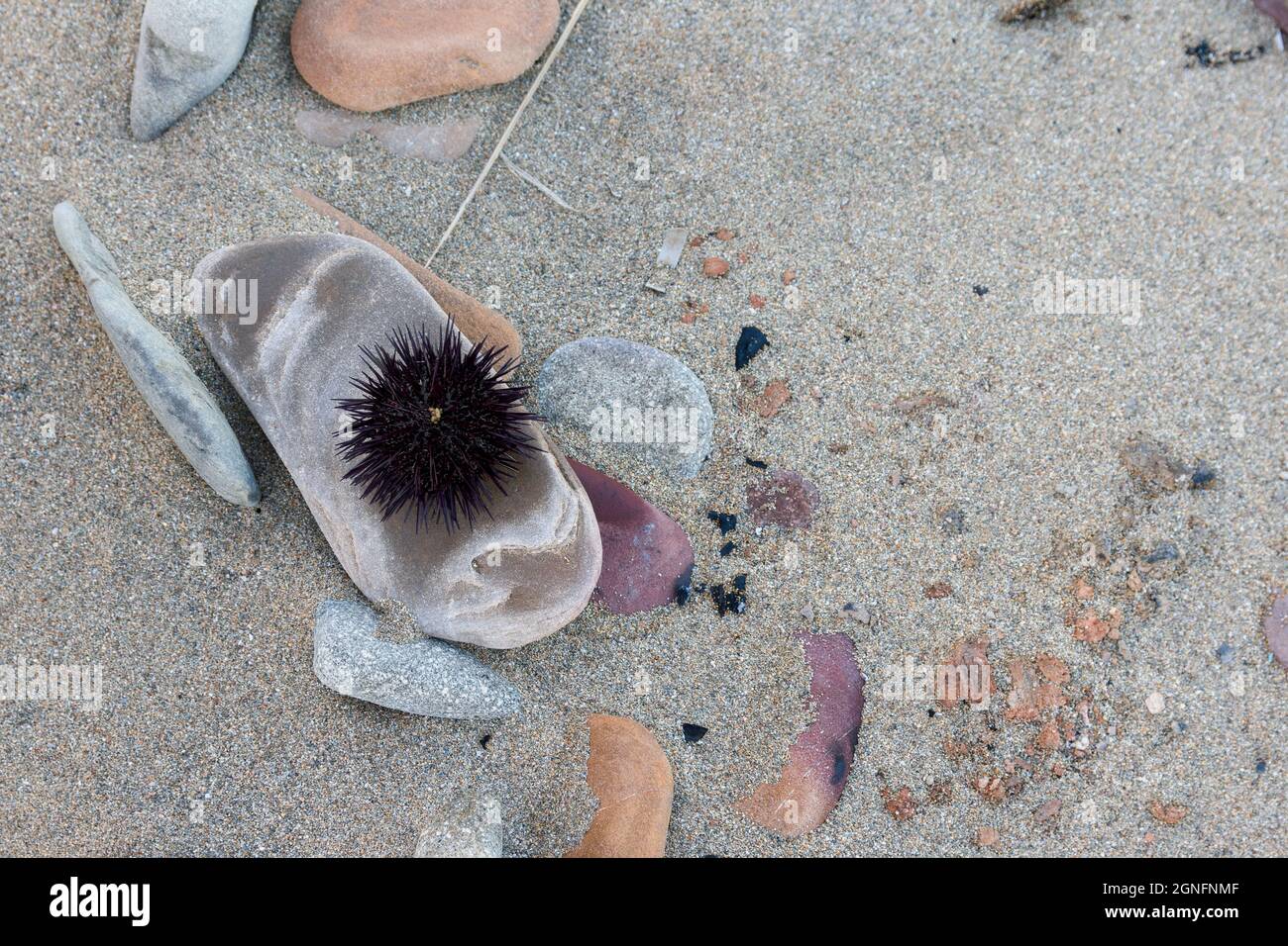 Thorns Beach High Resolution Stock Photography and Images - Alamy