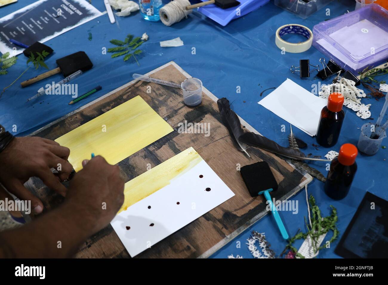 Cyanotypeprints hi-res stock photography and images - Alamy