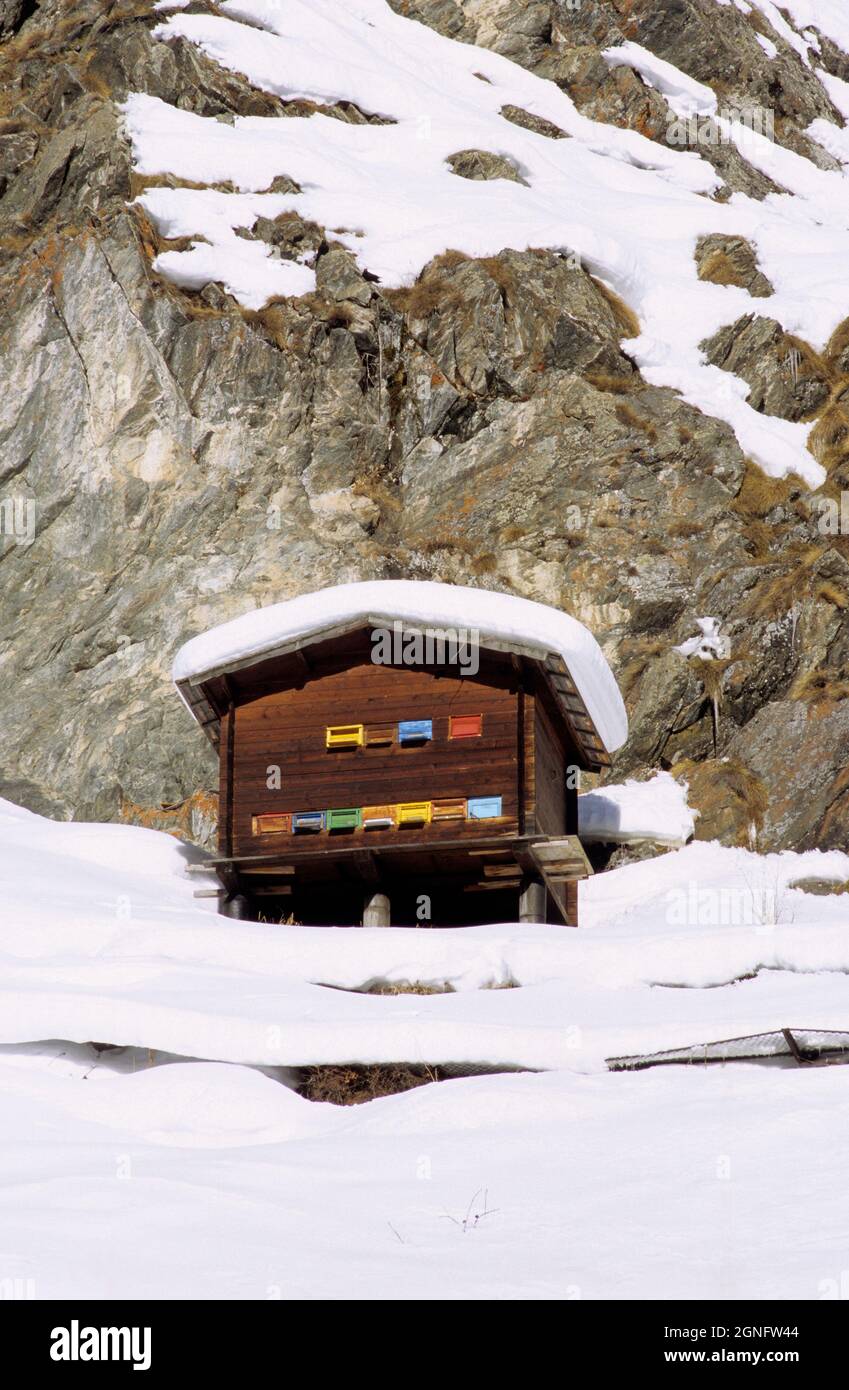SWITZERLAND, REGION AND CANTON OF VALAIS, ZERMATT SKI RESORT, BEE HIVES ...