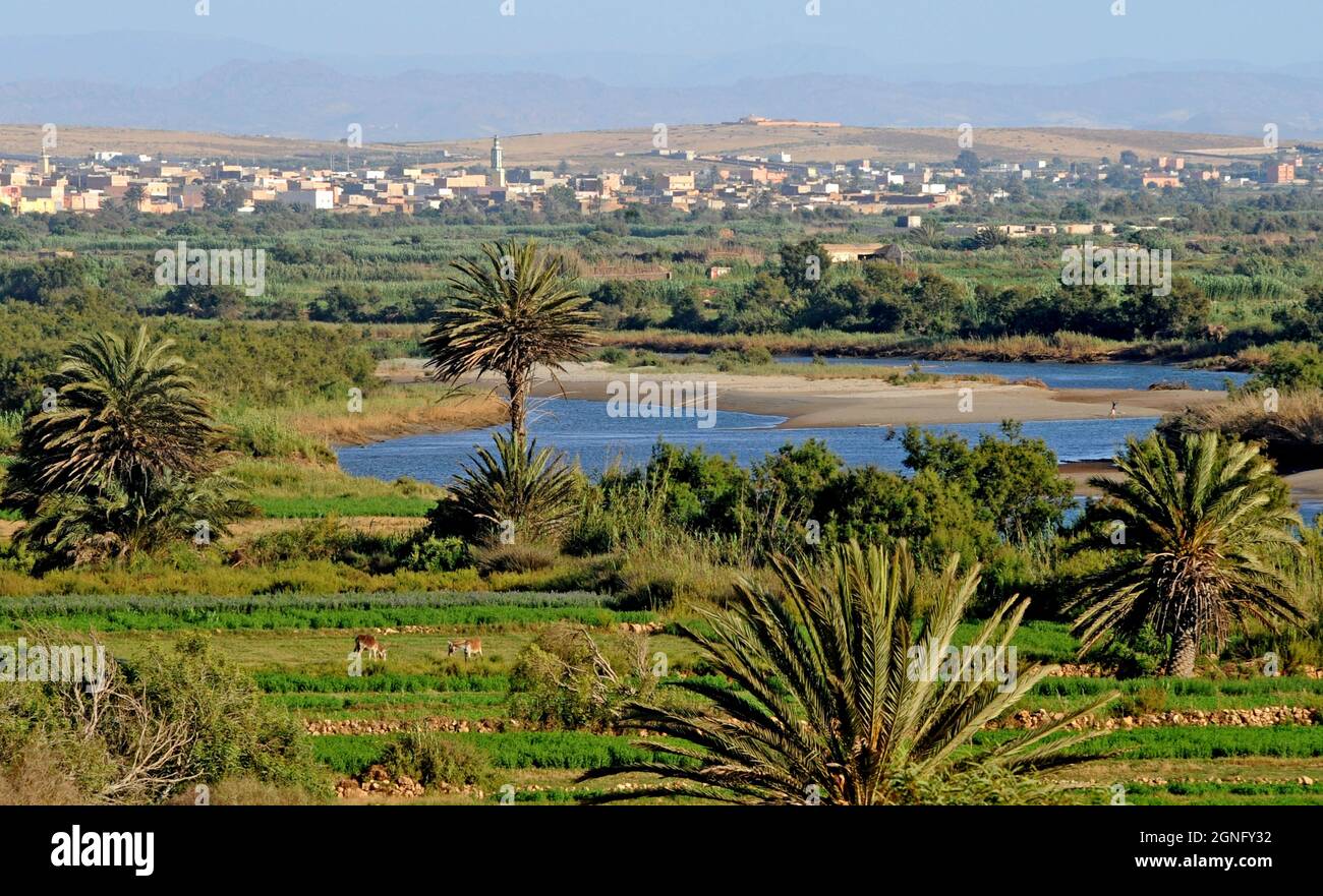 Souss massa national park hi-res stock photography and images - Alamy