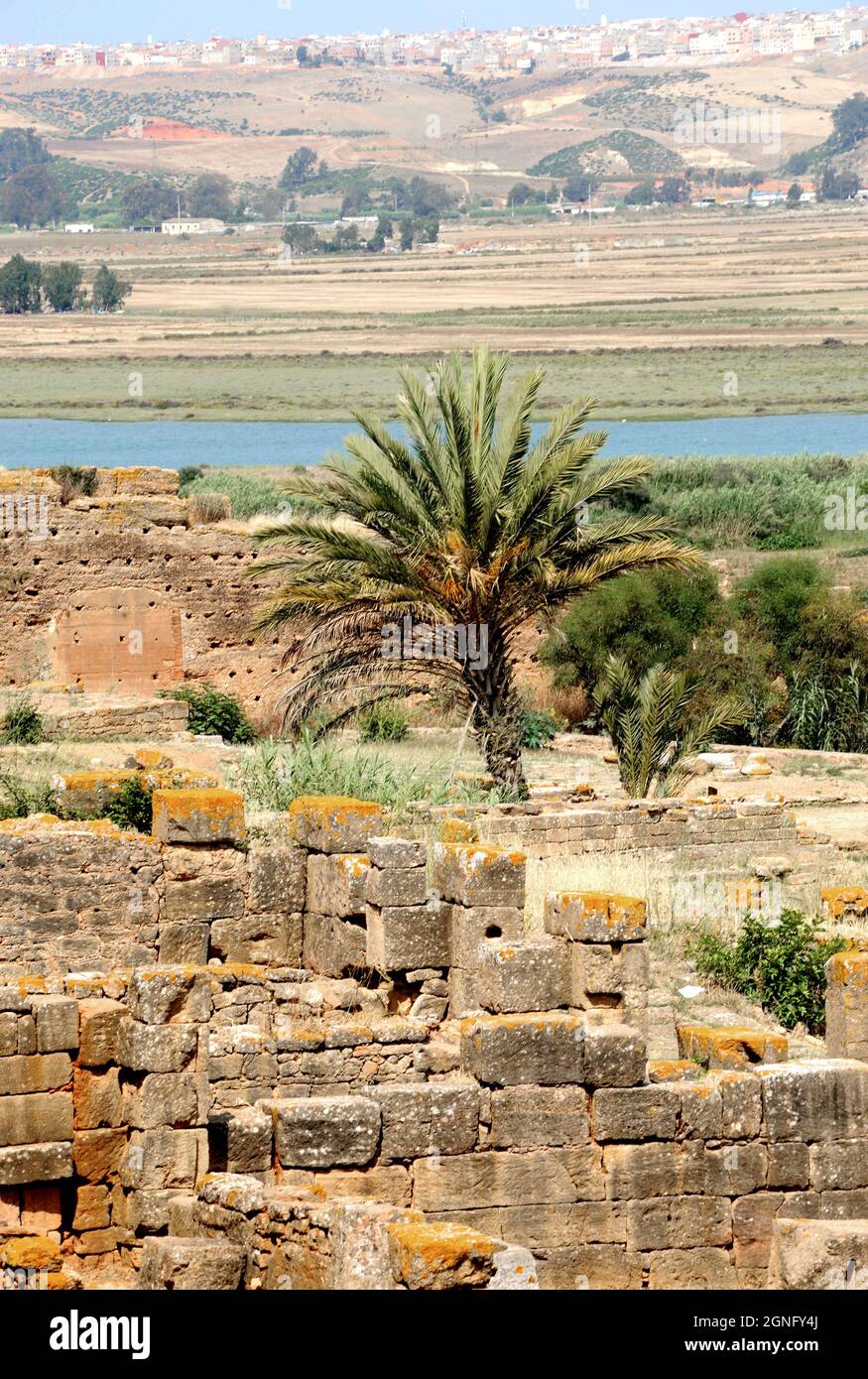 Nécropole chellah hi-res stock photography and images - Alamy