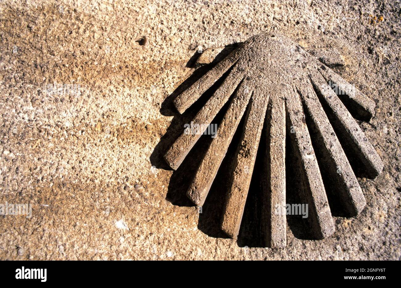 St jamess shell hi-res stock photography and images - Alamy