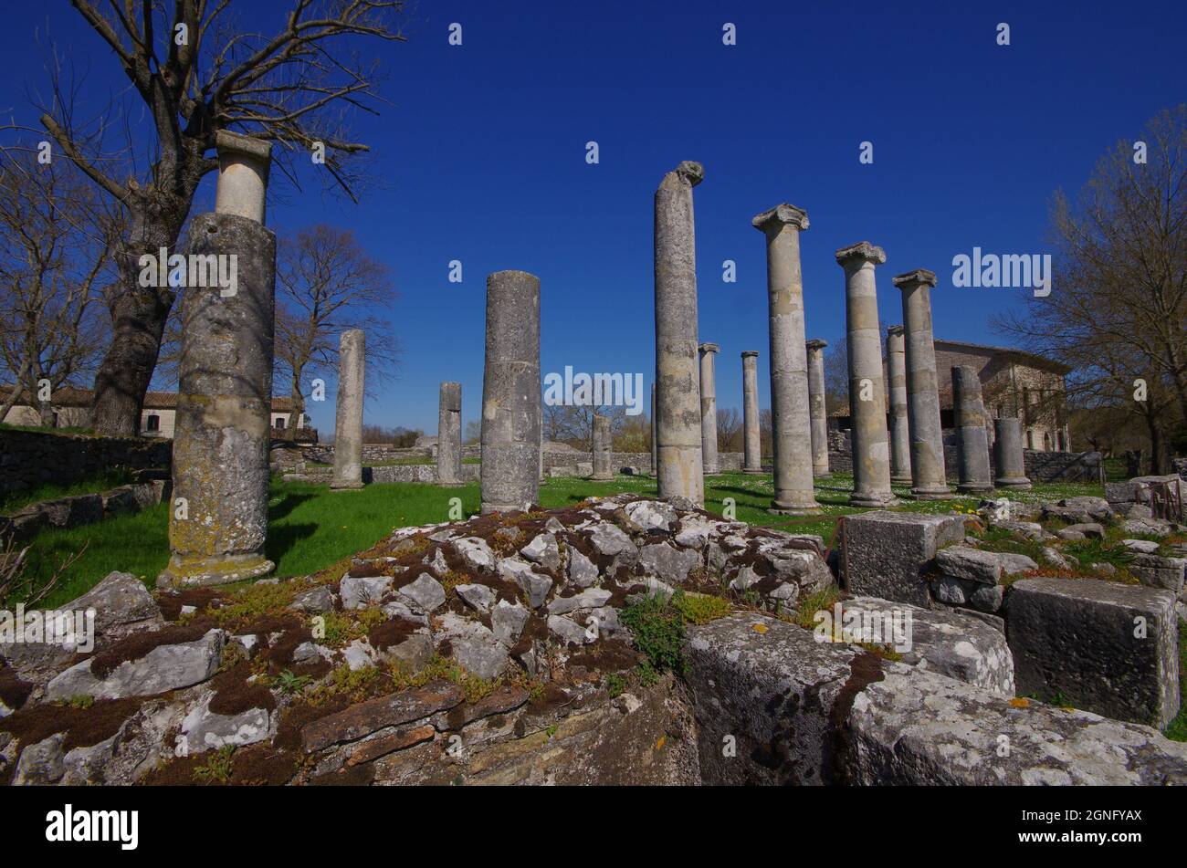 Archaeological site of Altilia: remains of columns indicating where the ...