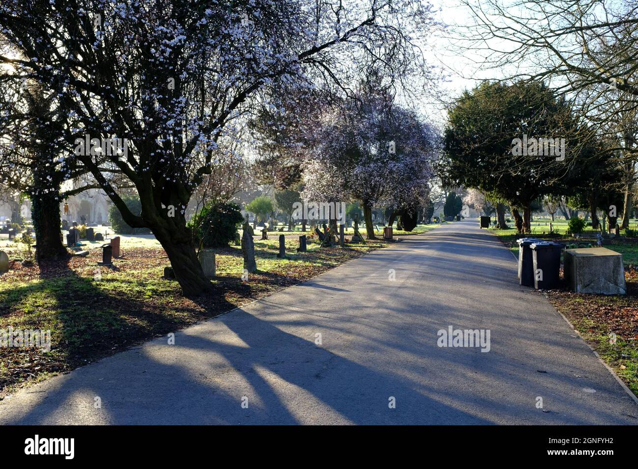 Lambeth Cemetery - Tooting London Stock Photo - Alamy
