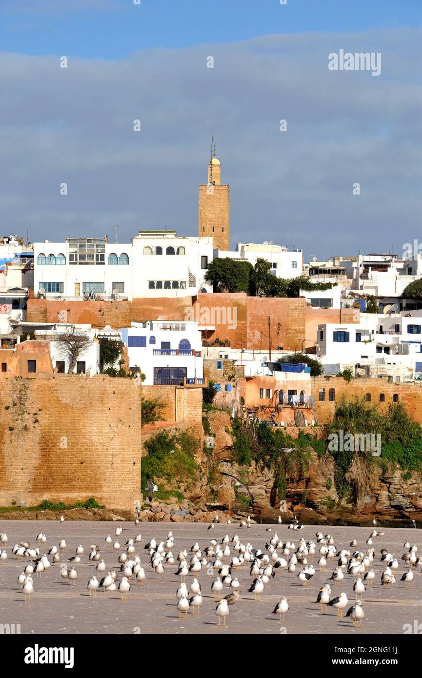 Oudayas hi-res stock photography and images - Alamy