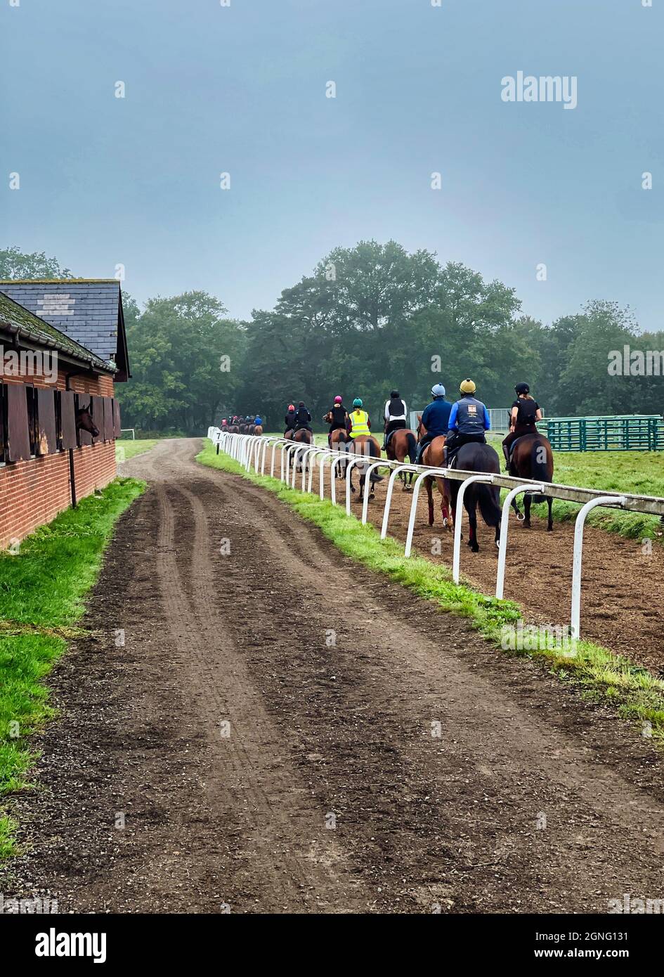Horse training gallops hi-res stock photography and images - Alamy