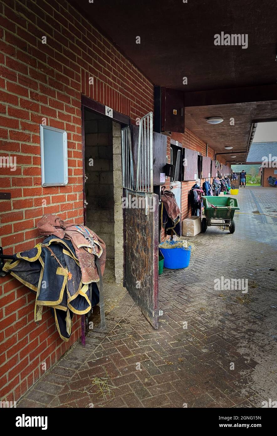 Working stable hi-res stock photography and images - Alamy